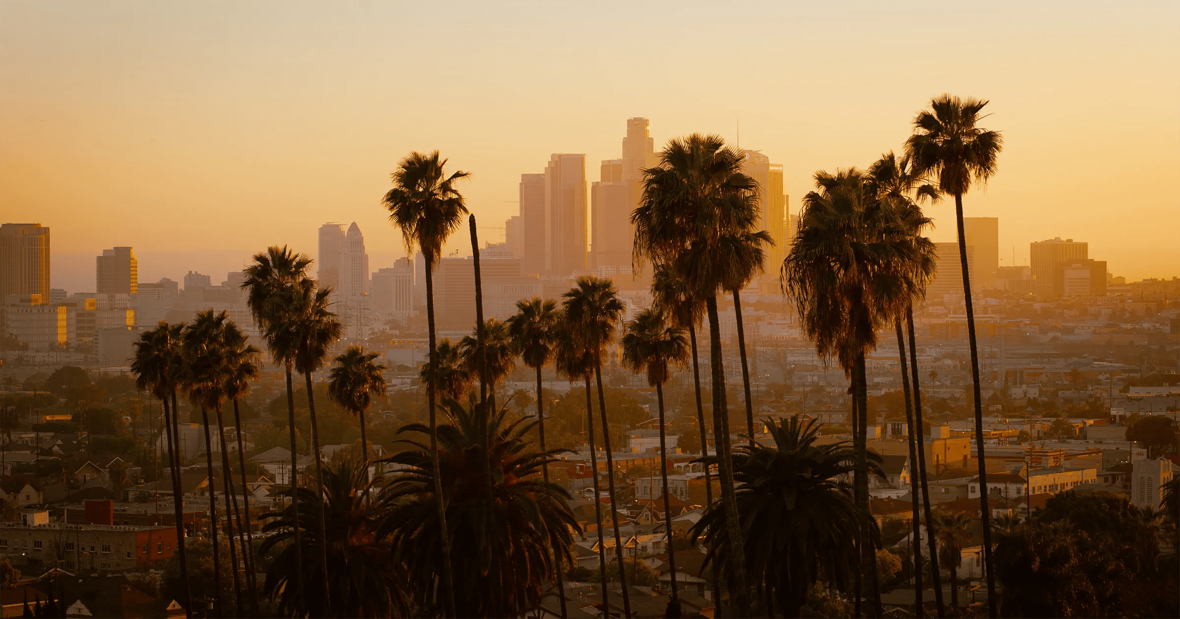 Los Angeles | Cru Inner City